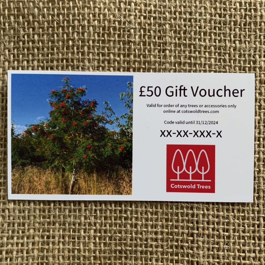 Order a tree gift voucher with a handwritten card - Cotswold Trees